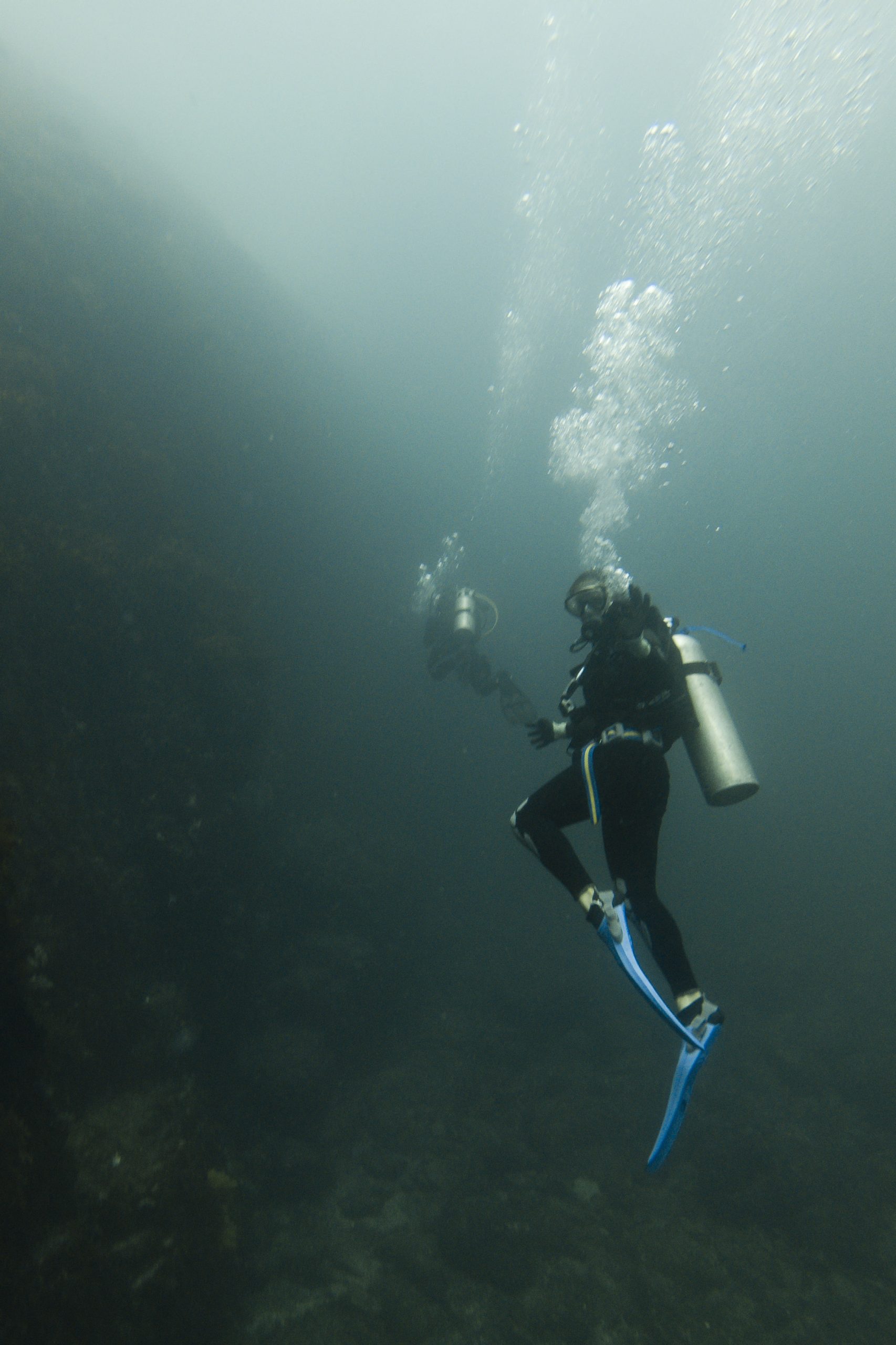 Everything you need to know about scuba diving on Jeju Island, South ...