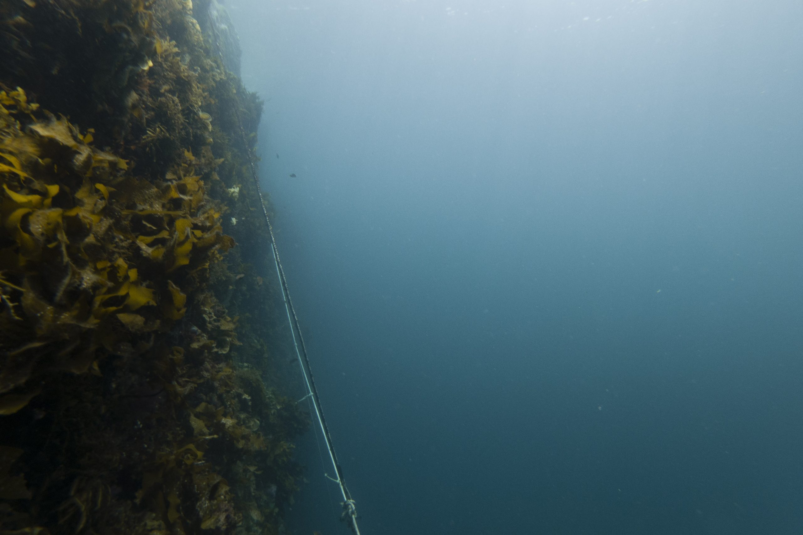 Everything you need to know about scuba diving on Jeju Island, South ...